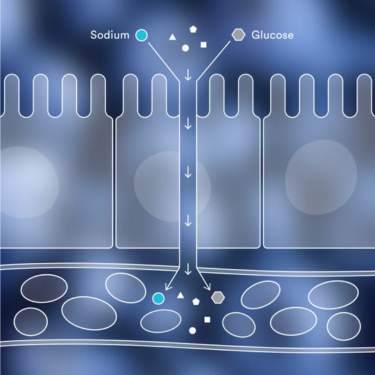 How it works – DripDrop – DripDrop